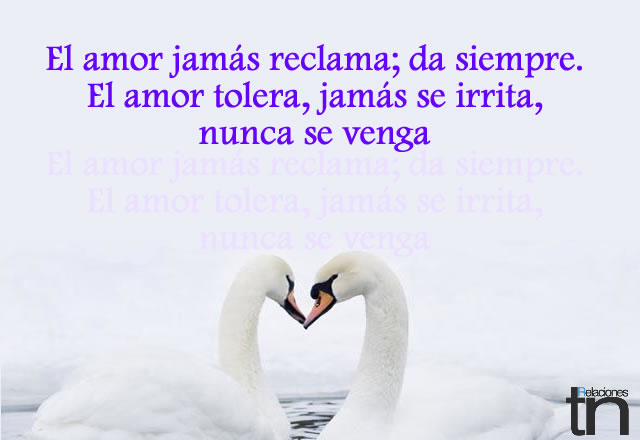 El amor es dar siempre - TnRelaciones - La vida misma