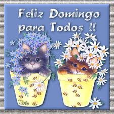 Feliz Domingo para todos - TnRelaciones - La vida misma