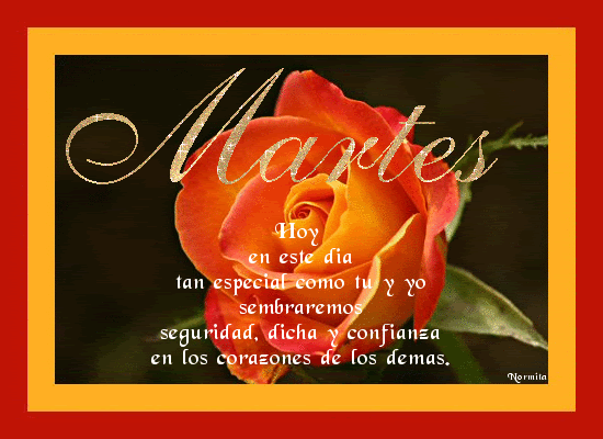 Martes - TnRelaciones - La vida misma