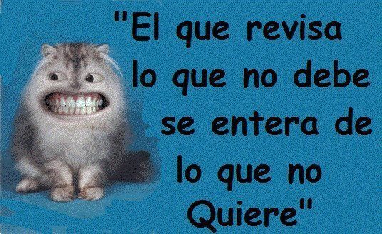 El que revisa lo que no debe - TnRelaciones - La vida misma El que revisa lo que no debe - TnRelaciones - La vida misma