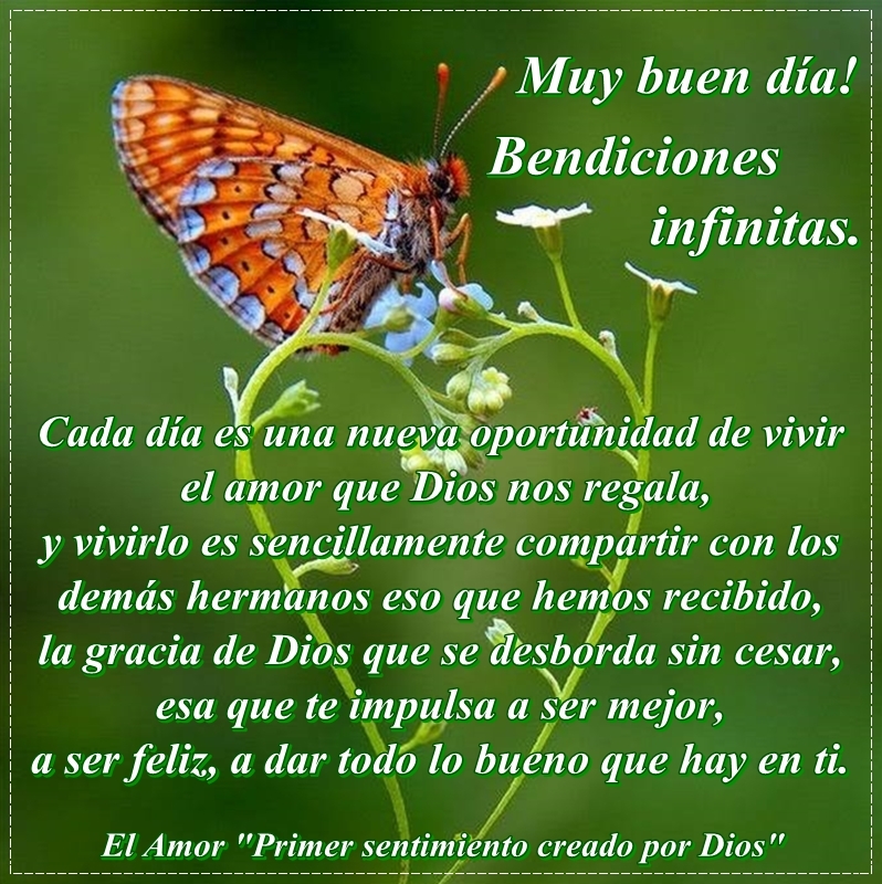 Muy buen día! Bendiciones infinitas. - TnRelaciones - La vida misma