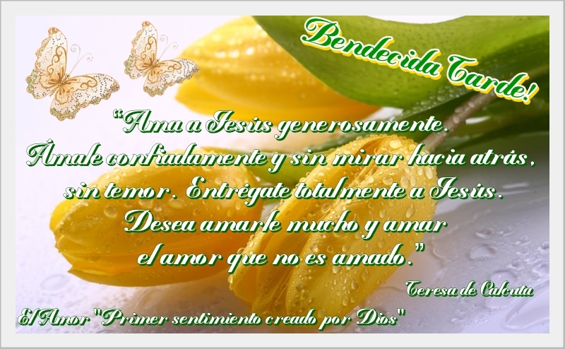 Bendecida Tarde! - TnRelaciones - La vida misma