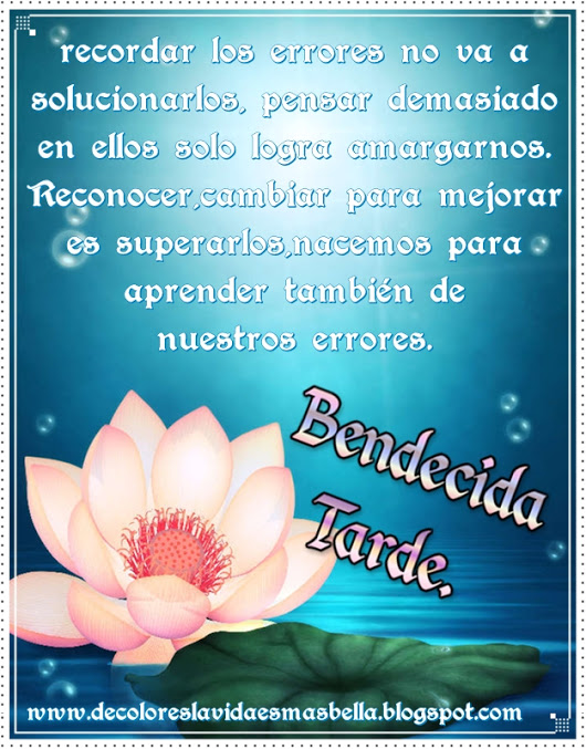 Bendecida Tarde. - TnRelaciones - La vida misma